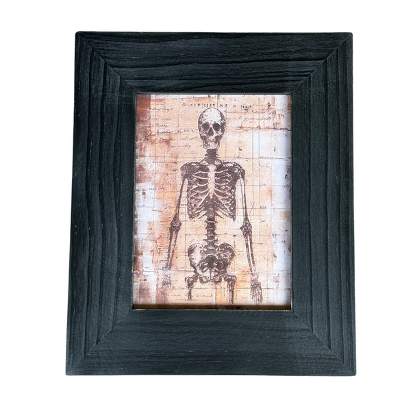 CA-5311 - Skeleton Frame – Collins Fresh + Original
