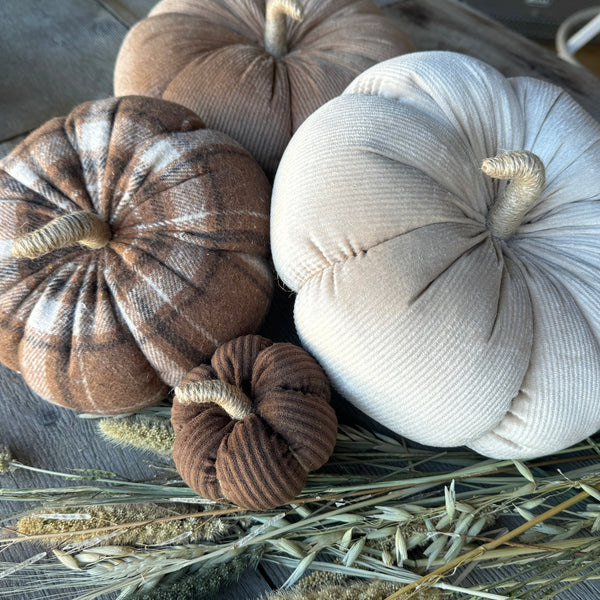 CF-3330 - XL Cream Corduroy Pumpkin – Collins Fresh + Original