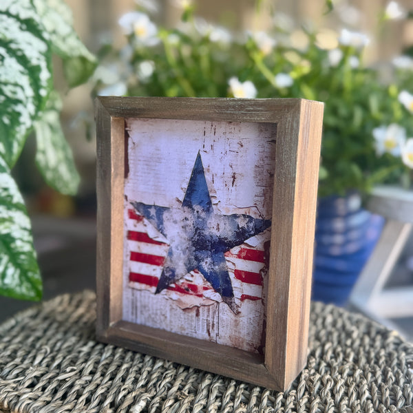 SW-3229 - Salute the Flag Frame – Collins Fresh + Original