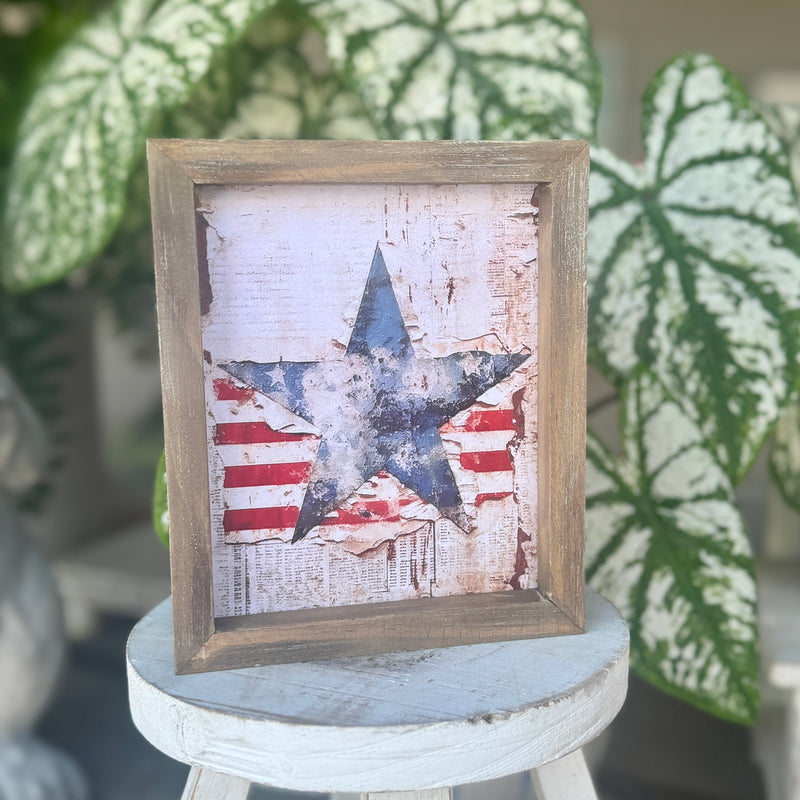 SW-3229 - Salute the Flag Frame – Collins Fresh + Original